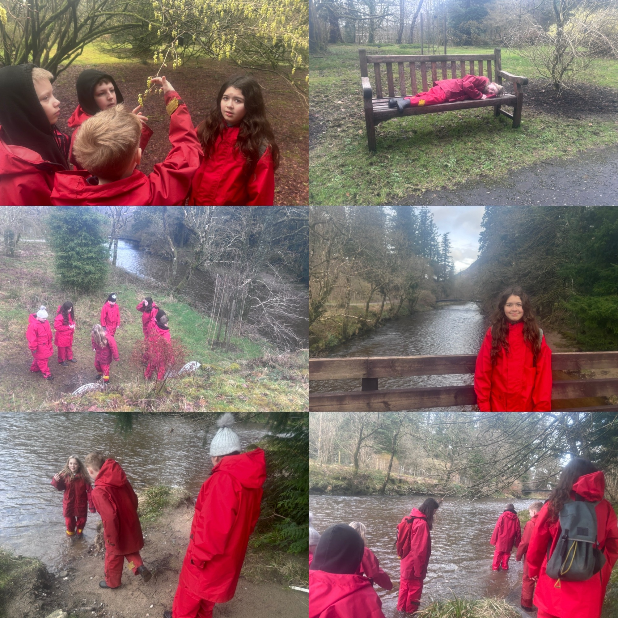A Forest walk with a difference. – Royal Mile Primary School