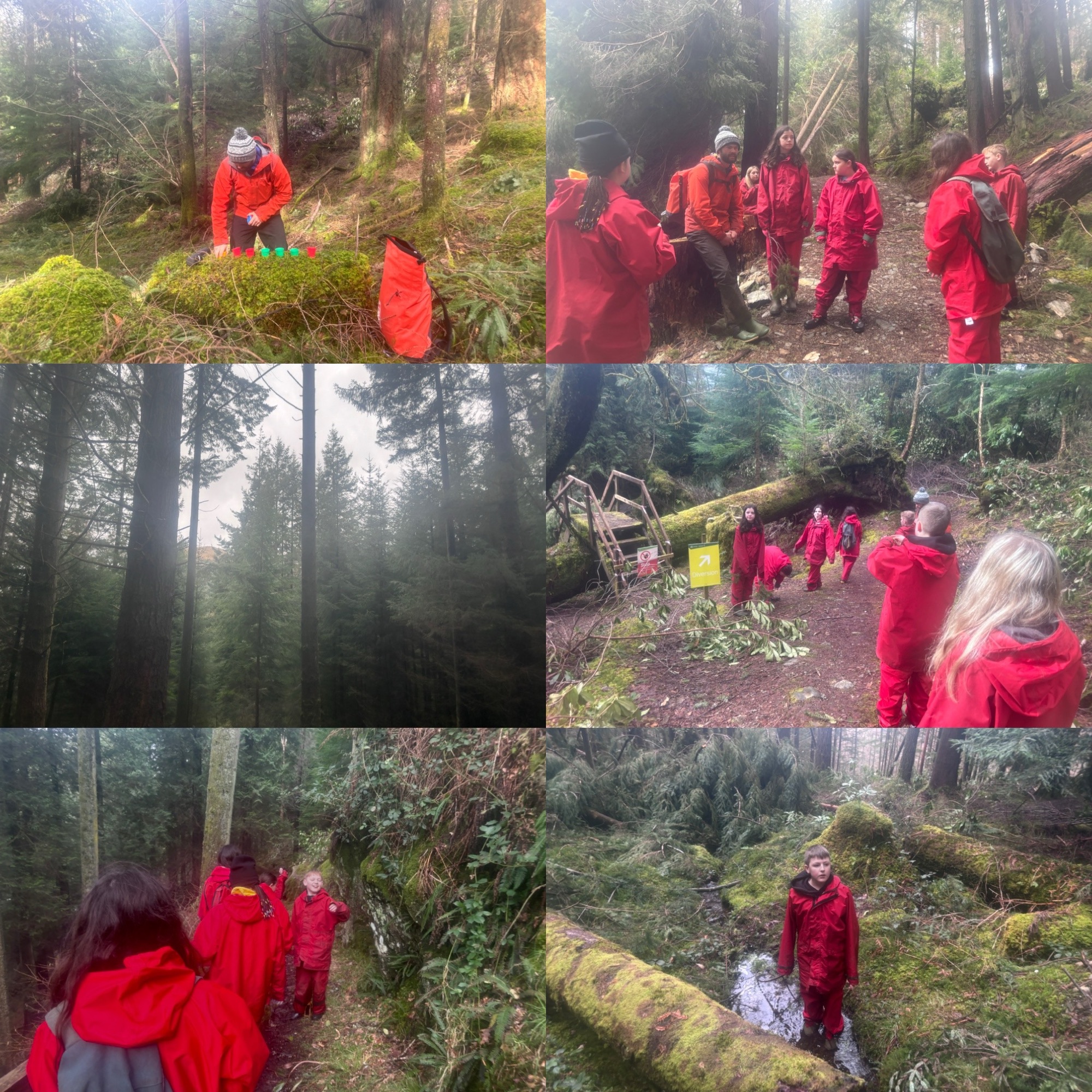 A Forest walk with a difference. – Royal Mile Primary School
