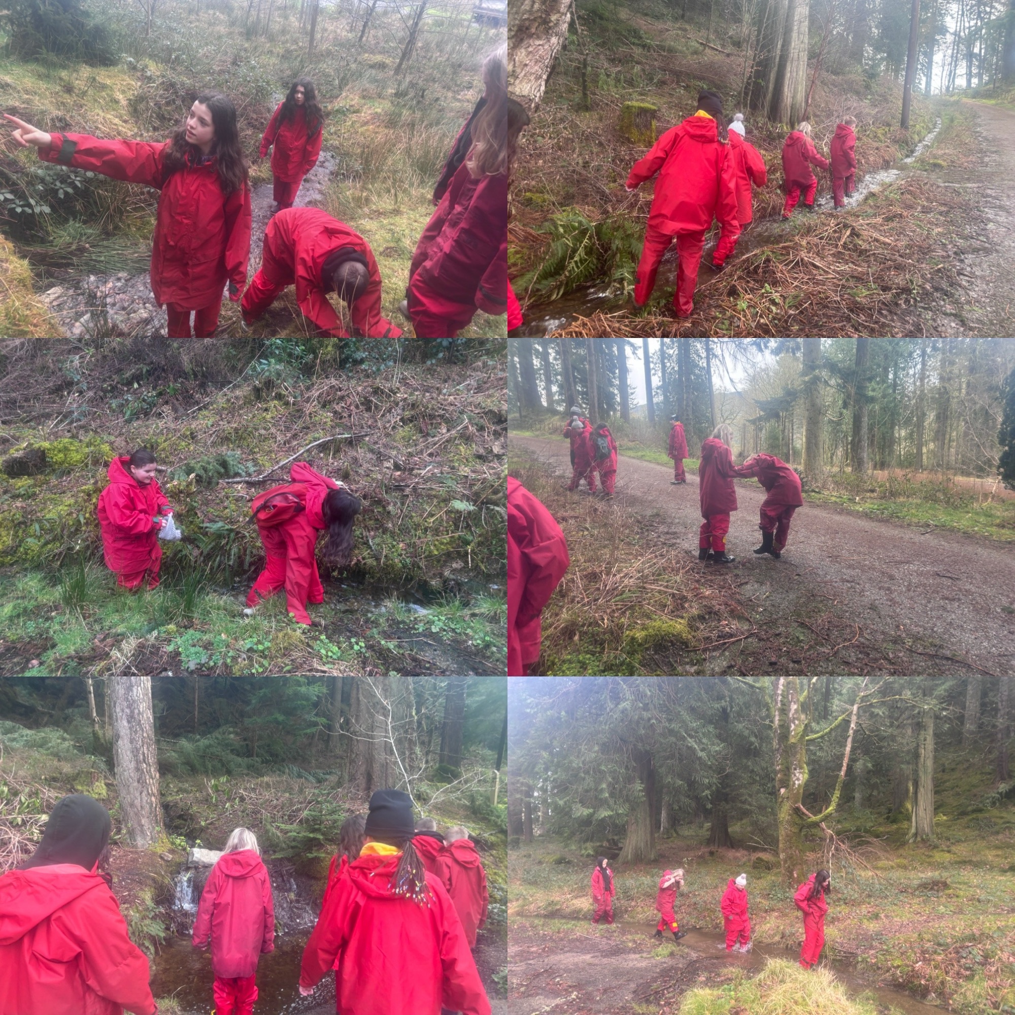 A Forest walk with a difference. – Royal Mile Primary School